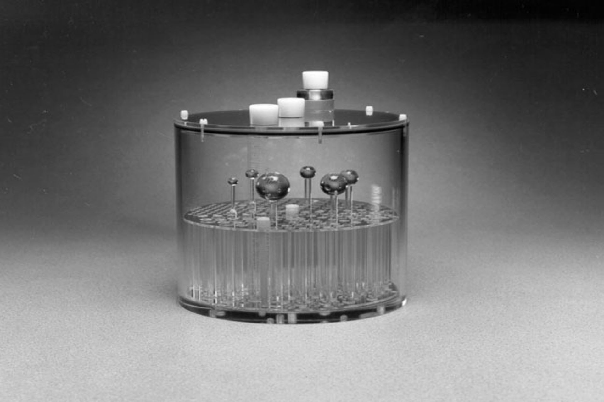 Pinestar – Danish International